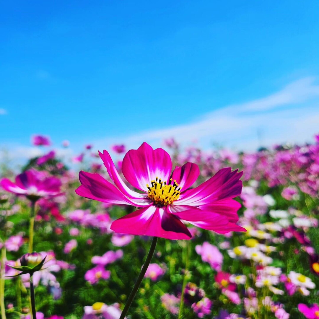 🤣太ももがヤバい⁉️ バアちゃんです ... / ぐらんまヒサコさんのモーメント | YAMAP / ヤマップ