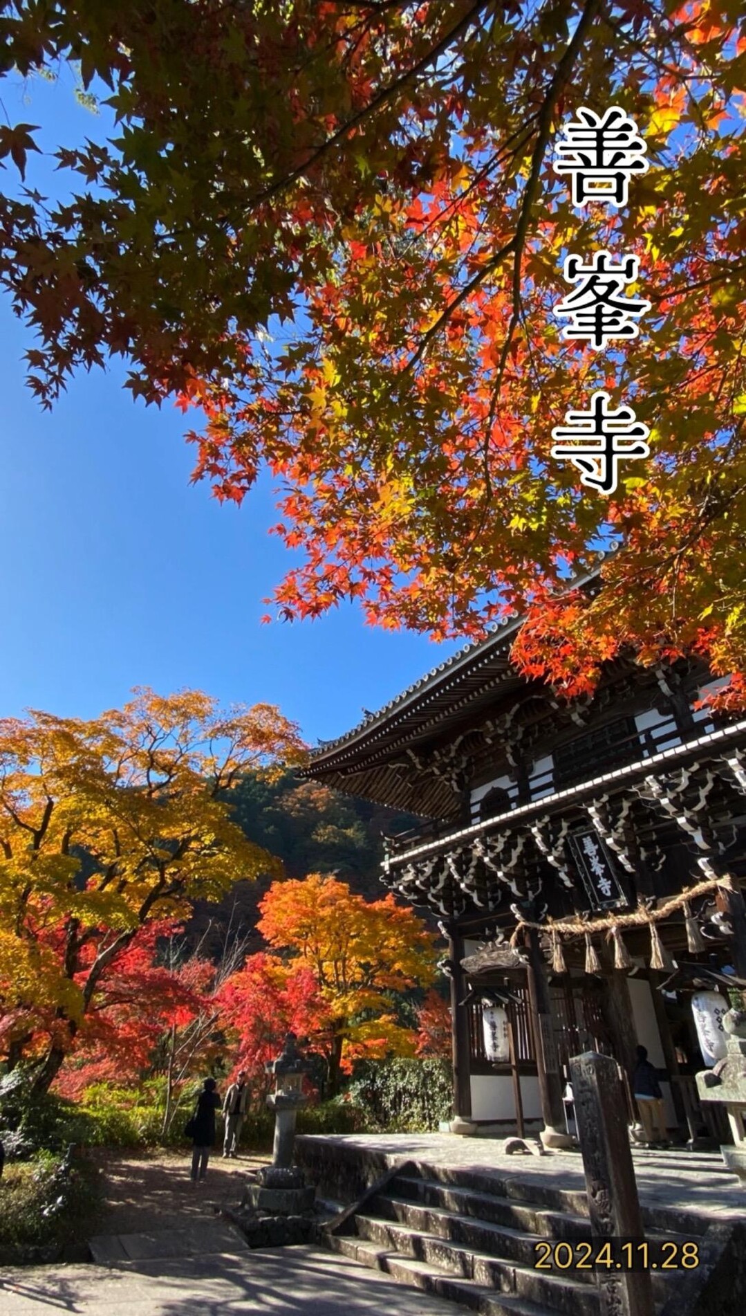 紅葉の善峯寺（動画） https://y... / ぜんまる兄さんさんのモーメント | YAMAP / ヤマップ