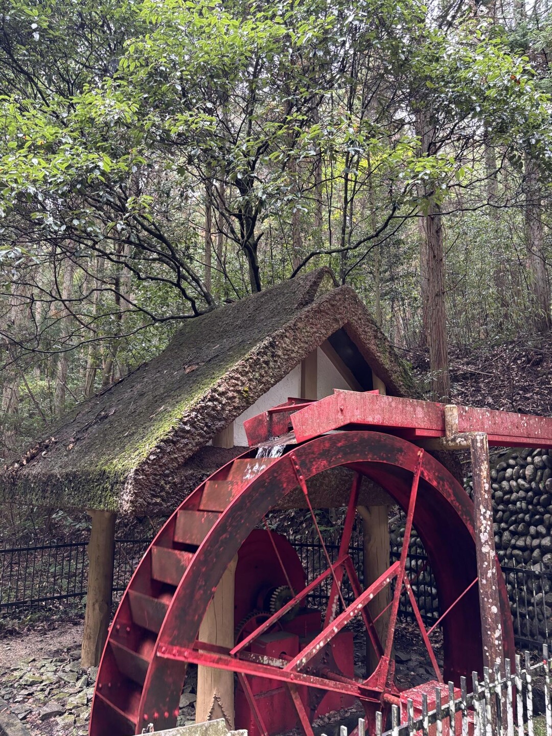 猿投山 / SINさんの猿投山・物見山の活動データ | YAMAP / ヤマップ