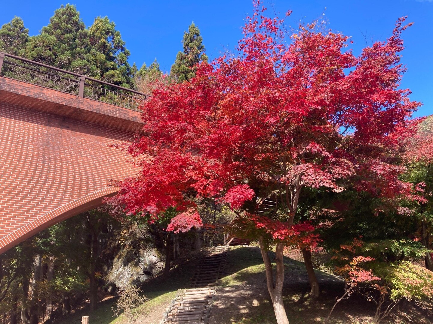 ぐんま紅葉🍁狩りウォーキング アプトの道&碓氷湖周回 / papeさんの鼻曲山・氷妻山・留夫山の活動データ | YAMAP / ヤマップ