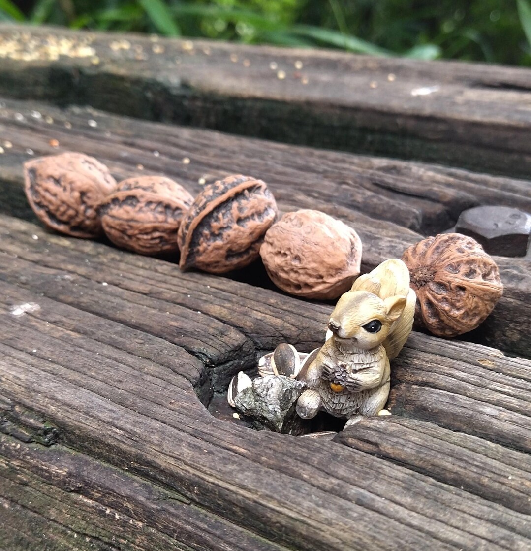 二上山(鹿谷寺R↗七曲り↘) / 鮫島雅之さんの葛城修験エリアマップ（二上山周辺）の活動データ | YAMAP / ヤマップ