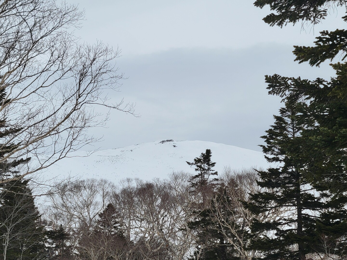 至仏山BC / Yabu-Inuさんの尾瀬・至仏山・悪沢岳・笠ヶ岳の活動データ | YAMAP / ヤマップ