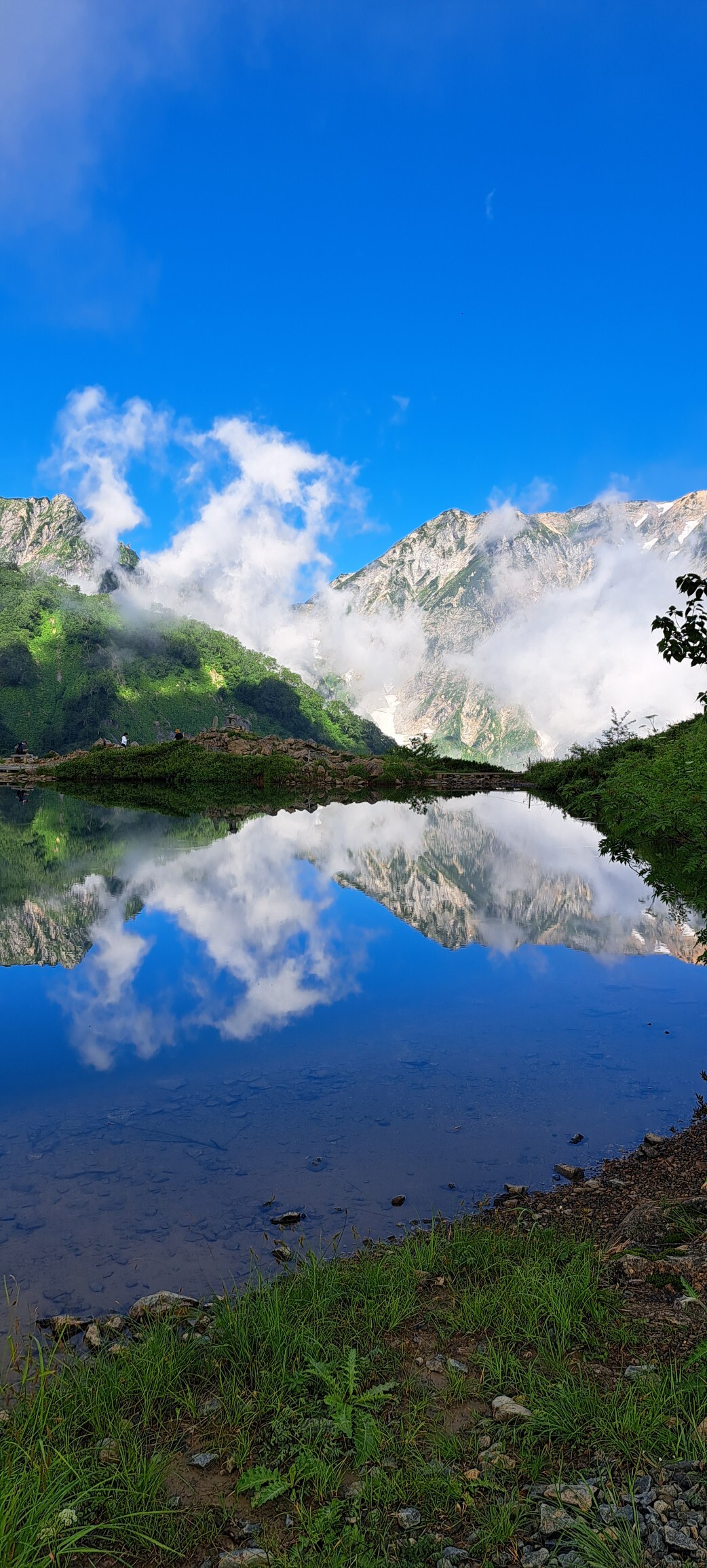 北アルプス唐松岳-2022-07-31 / hiyaさんの鹿島槍ヶ岳・五竜岳（五龍岳）・唐松岳の活動日記 | YAMAP / ヤマップ