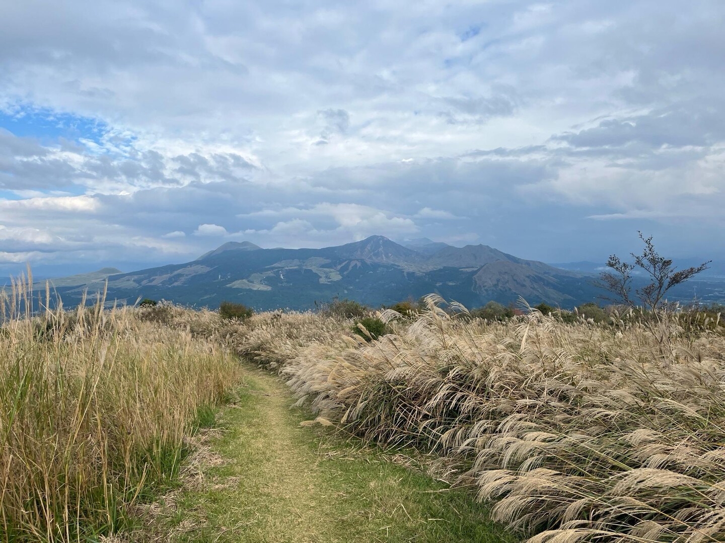 俵山 / マドンさんの俵山・冠ヶ岳・清栄山の活動データ | YAMAP / ヤマップ