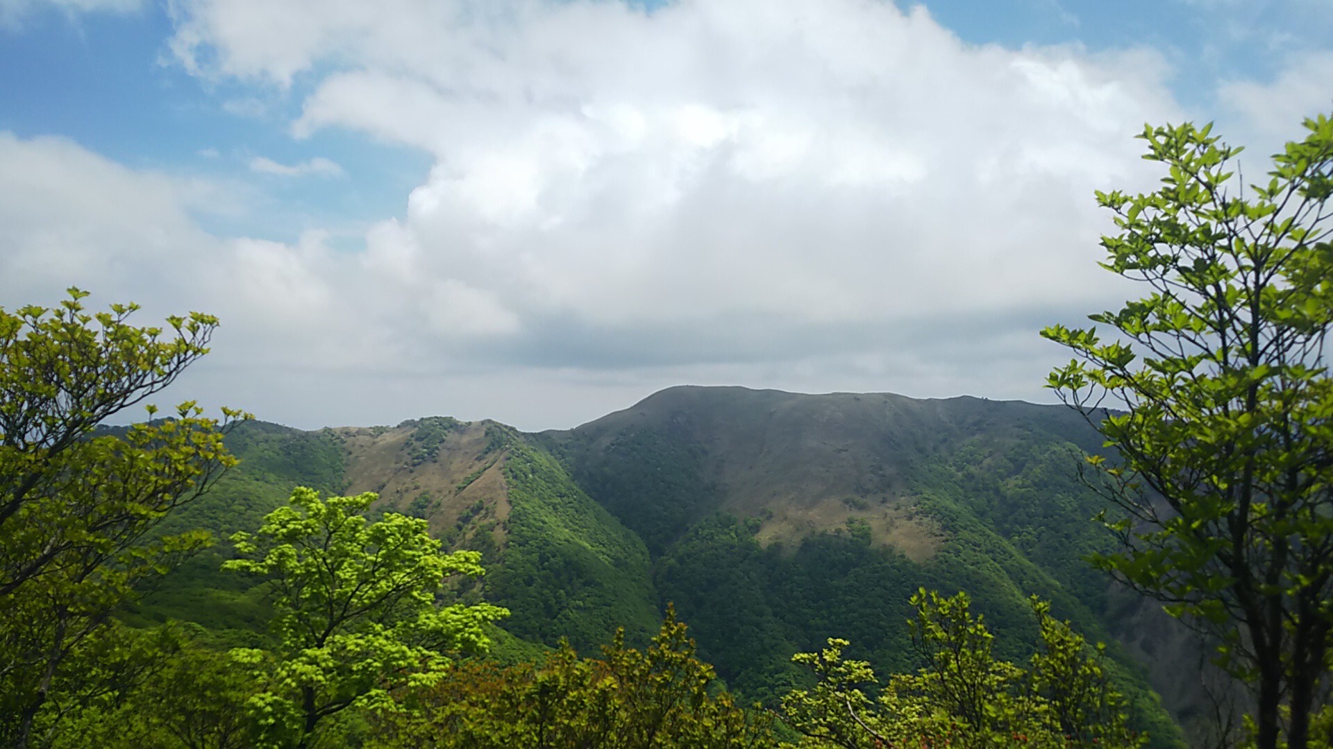 大尾. 静ヶ岳南西尾根 / wakki41さんの竜ヶ岳の活動データ | YAMAP / ヤマップ