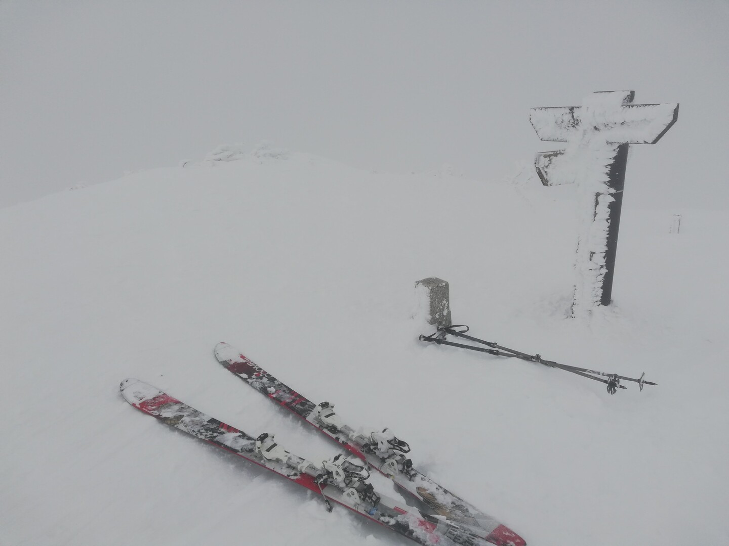 平標山(ヤカイ沢)BC / Mt.yuさんの仙ノ倉山・平標山・大源太山の活動データ | YAMAP / ヤマップ