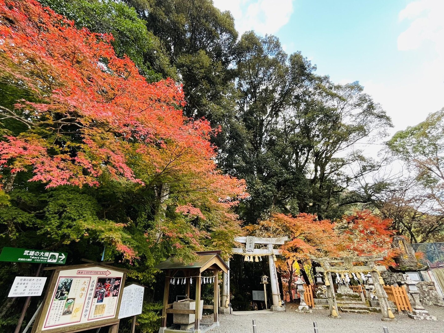 イロトリドリの道へ。。⛩️ / saku..さんの九州オルレ・武雄コースの活動データ | YAMAP / ヤマップ