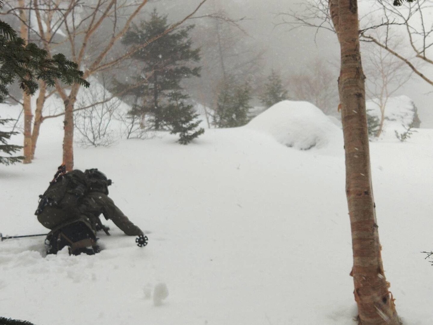 ただの雪遊び / T.Haradaさんの日光白根山・五色山・錫ヶ岳の活動データ | YAMAP / ヤマップ