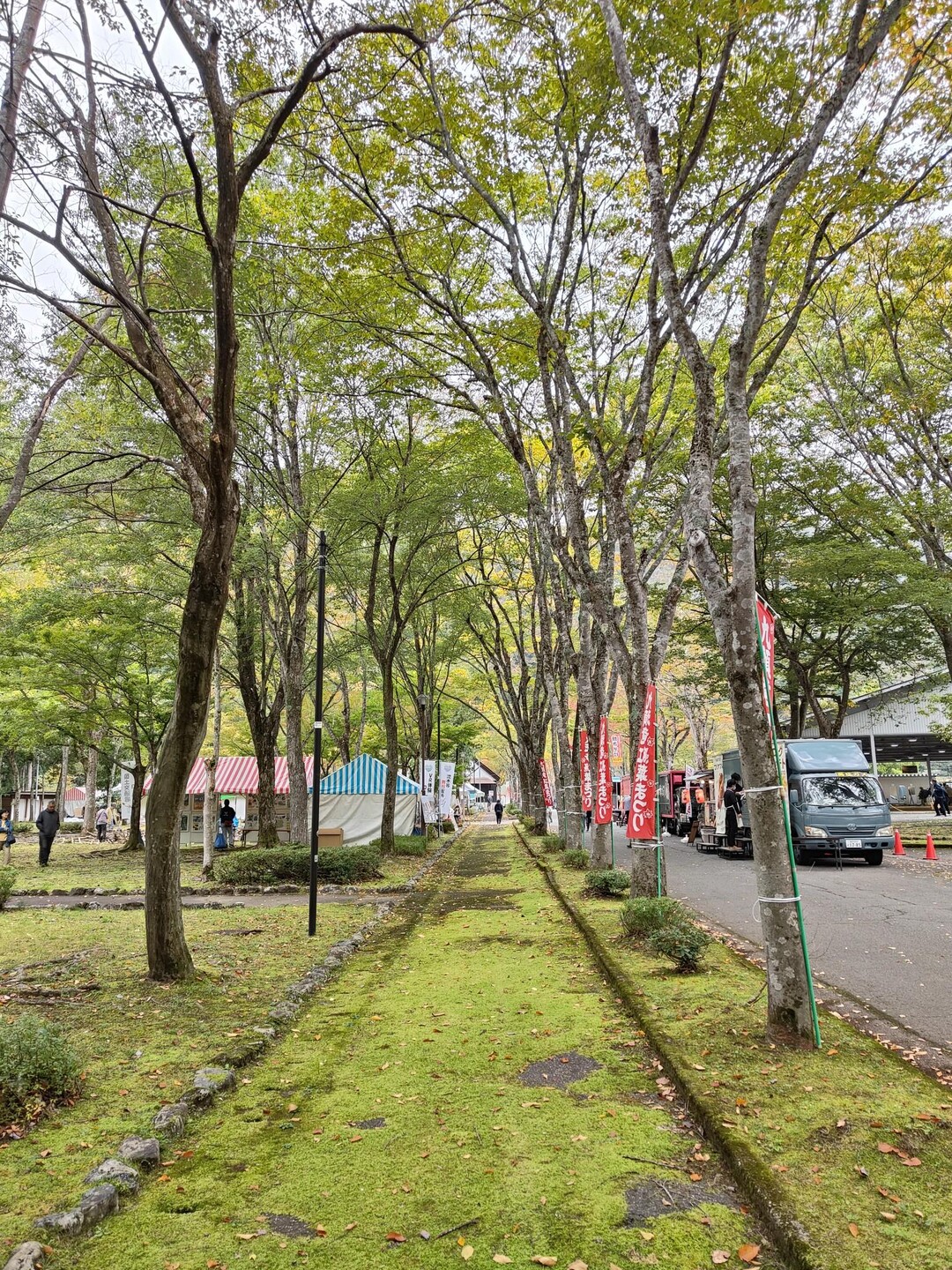 九頭竜紅葉まつりに。 紅葉はもう少しかな... / UmK うめさんのモーメント | YAMAP / ヤマップ