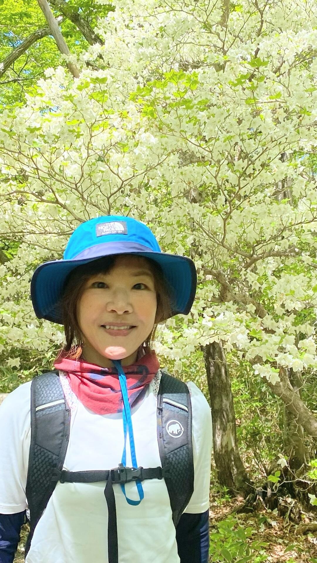 快晴と強風の茶臼岳(那須岳)〜ゴヨウツツジ群生ハイク / YUKOさんの茶臼岳（那須岳）・三本槍岳・赤面山の活動データ | YAMAP / ヤマップ