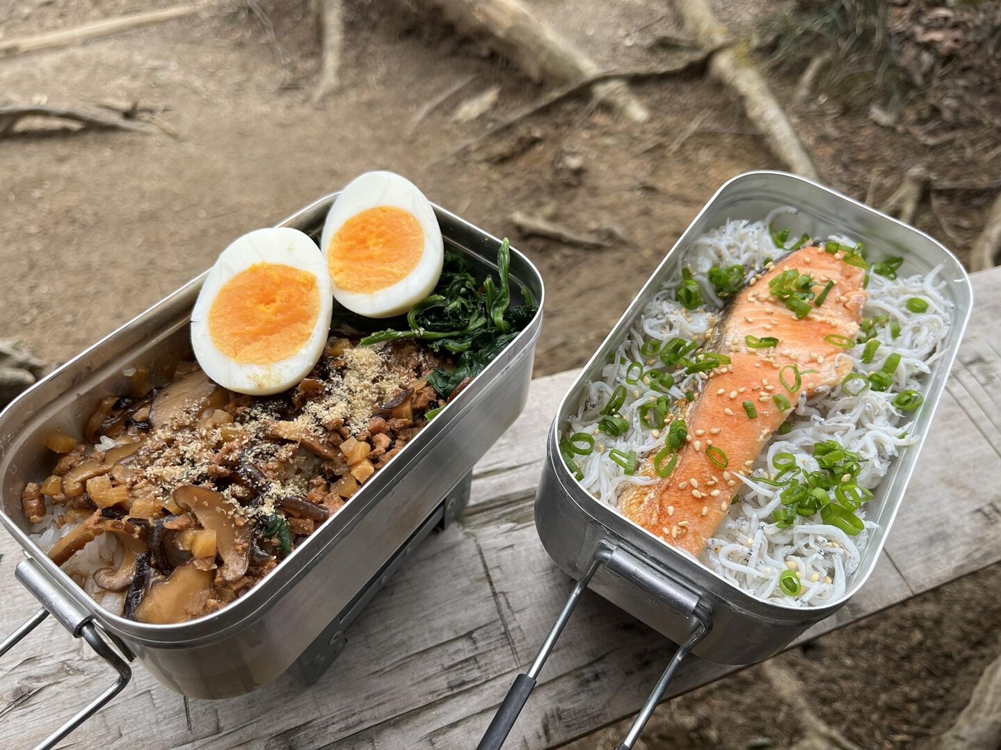 猿投山 / chihoさんの猿投山・物見山の活動データ | YAMAP / ヤマップ