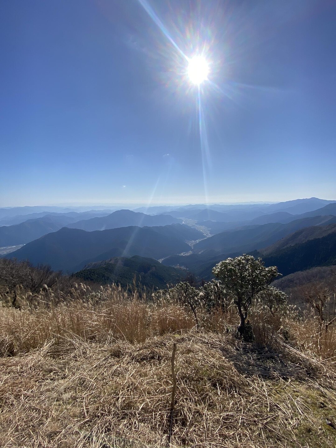 千ヶ峰 / kemaさんの千ヶ峰の活動データ | YAMAP / ヤマップ
