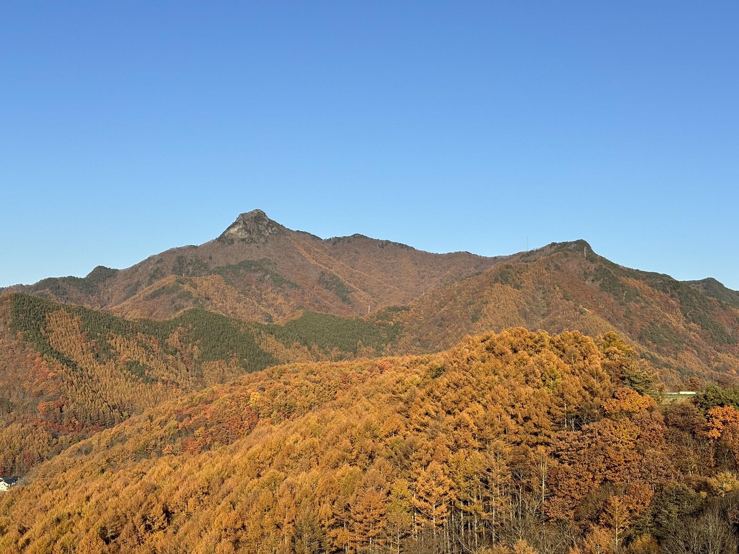 圧巻の紅葉🍁 長野〜良いところ ️ / sasaさんのモーメント | YAMAP / ヤマップ