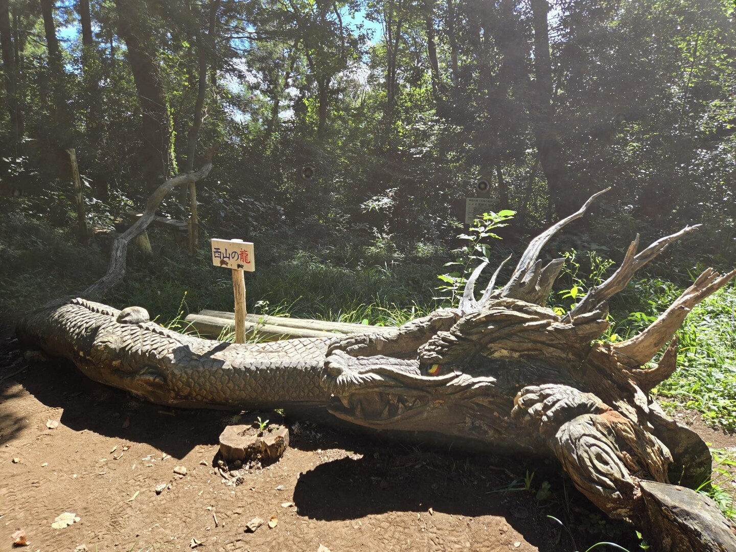 南高尾セブンサミッツ(左回り) / akky.mさんの高尾山・陣馬山・景信山の活動データ | YAMAP / ヤマップ