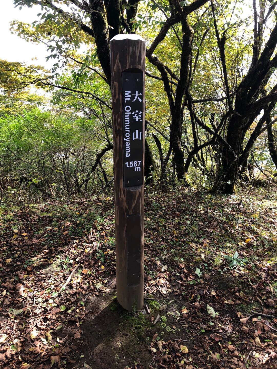 大室山・大杉丸 / とのさんの塔ノ岳・丹沢山・蛭ヶ岳の活動データ | YAMAP / ヤマップ