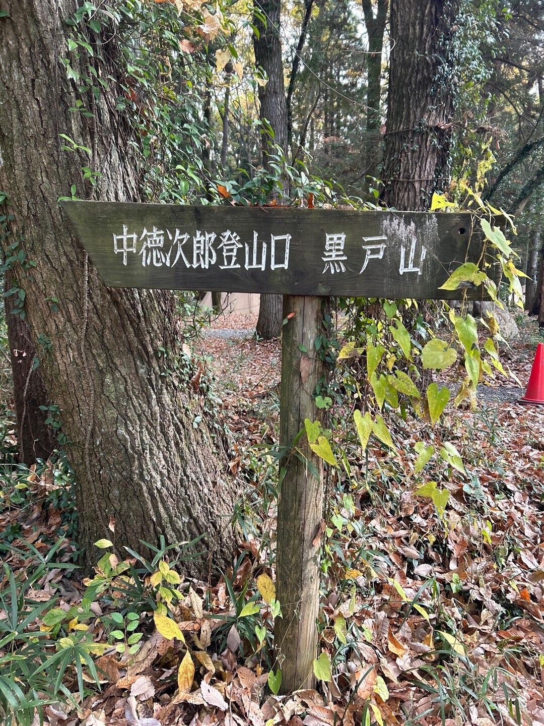 yuu39さんの投稿したフィールドメモ | YAMAP / ヤマップ