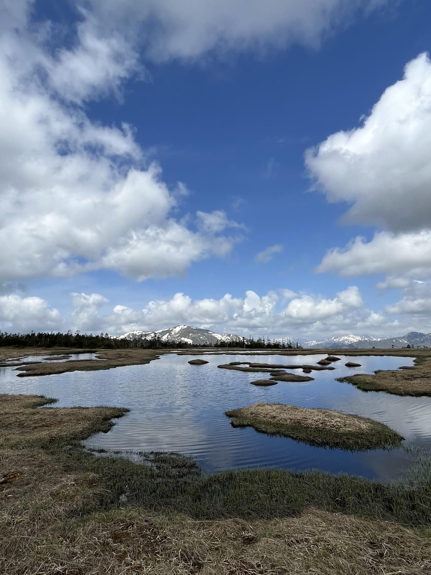 アヤメ平・富士見峠 2023-5-27 / steepbrewさんの尾瀬・至仏山・悪沢岳・笠ヶ岳の活動データ | YAMAP / ヤマップ