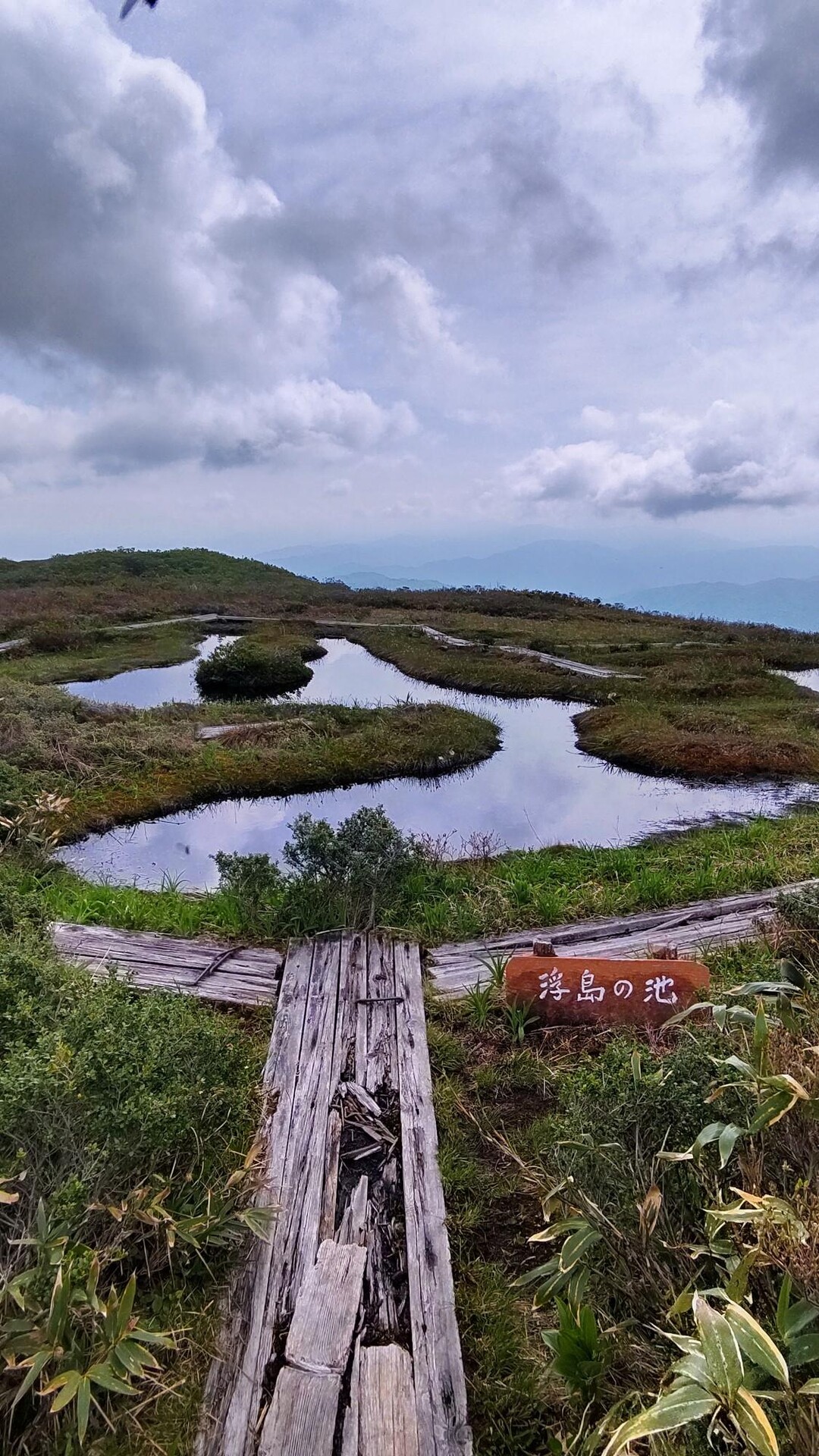 白木峰 天空の散歩みち / OKBさんの白木峰・小白木峰の活動データ | YAMAP / ヤマップ
