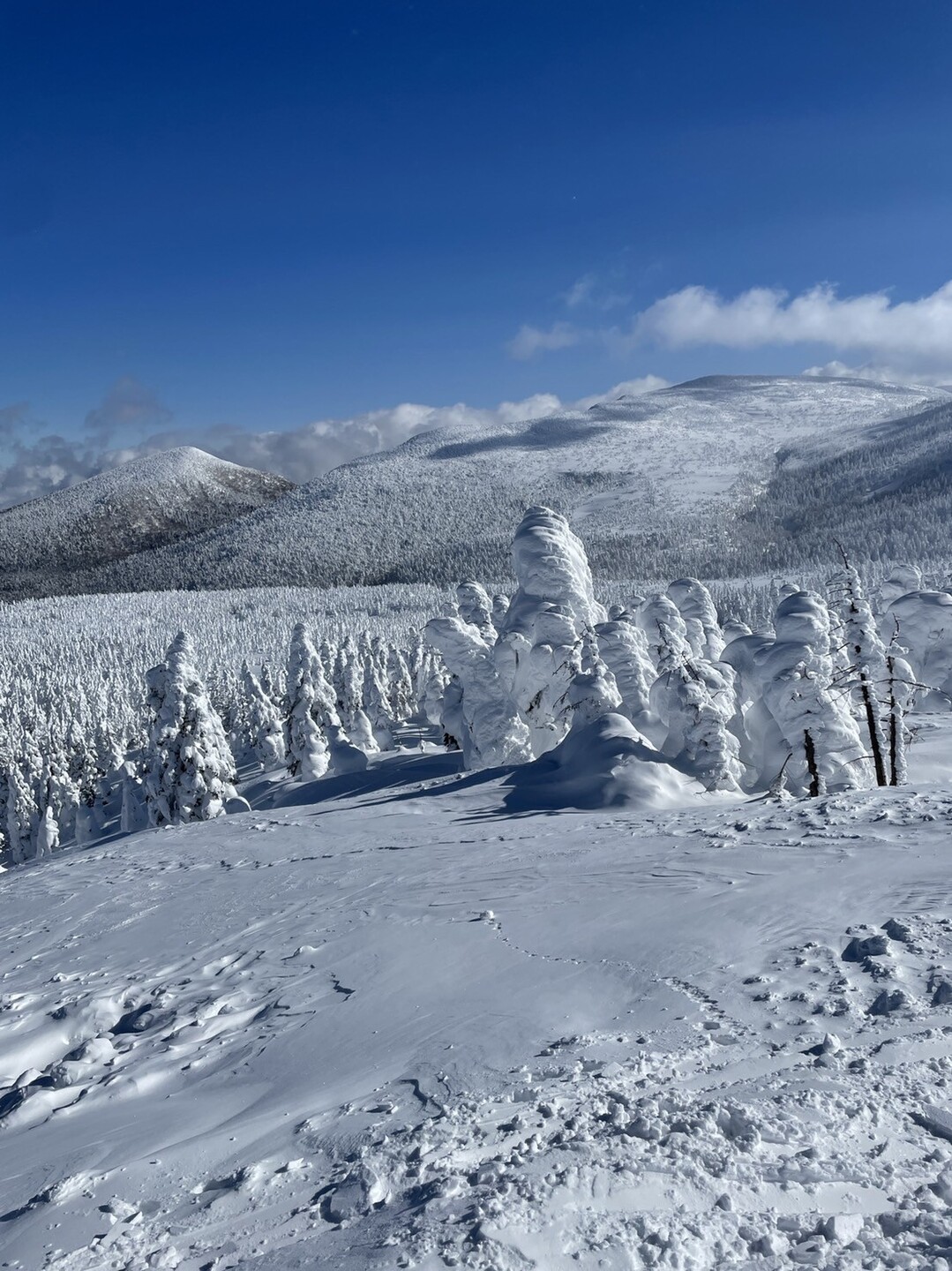 やっぱり『蔵王の山男』😎 (母校)『仙... / Daisuke Adachiさんのモーメント | YAMAP / ヤマップ