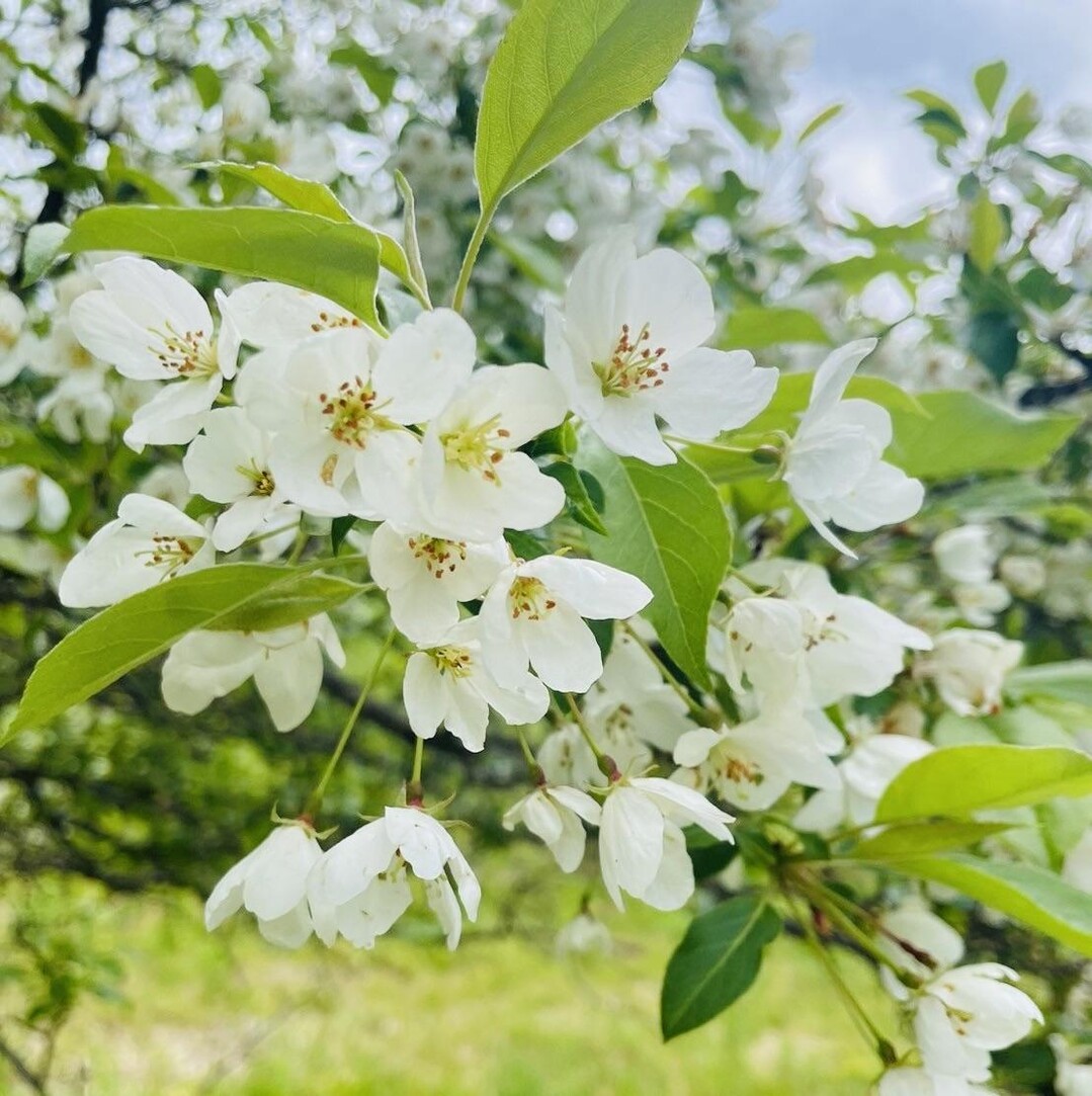 Kana-2ndのページ | YAMAP / ヤマップ