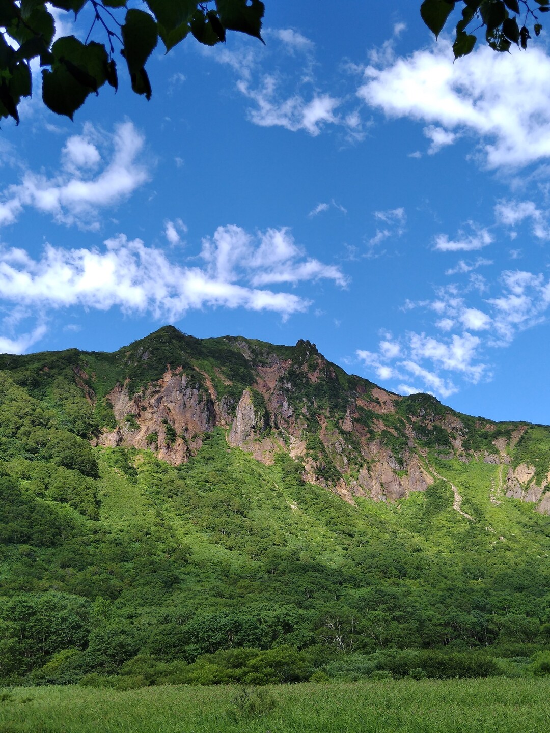 Nero-Piさんの投稿したフィールドメモ | YAMAP / ヤマップ