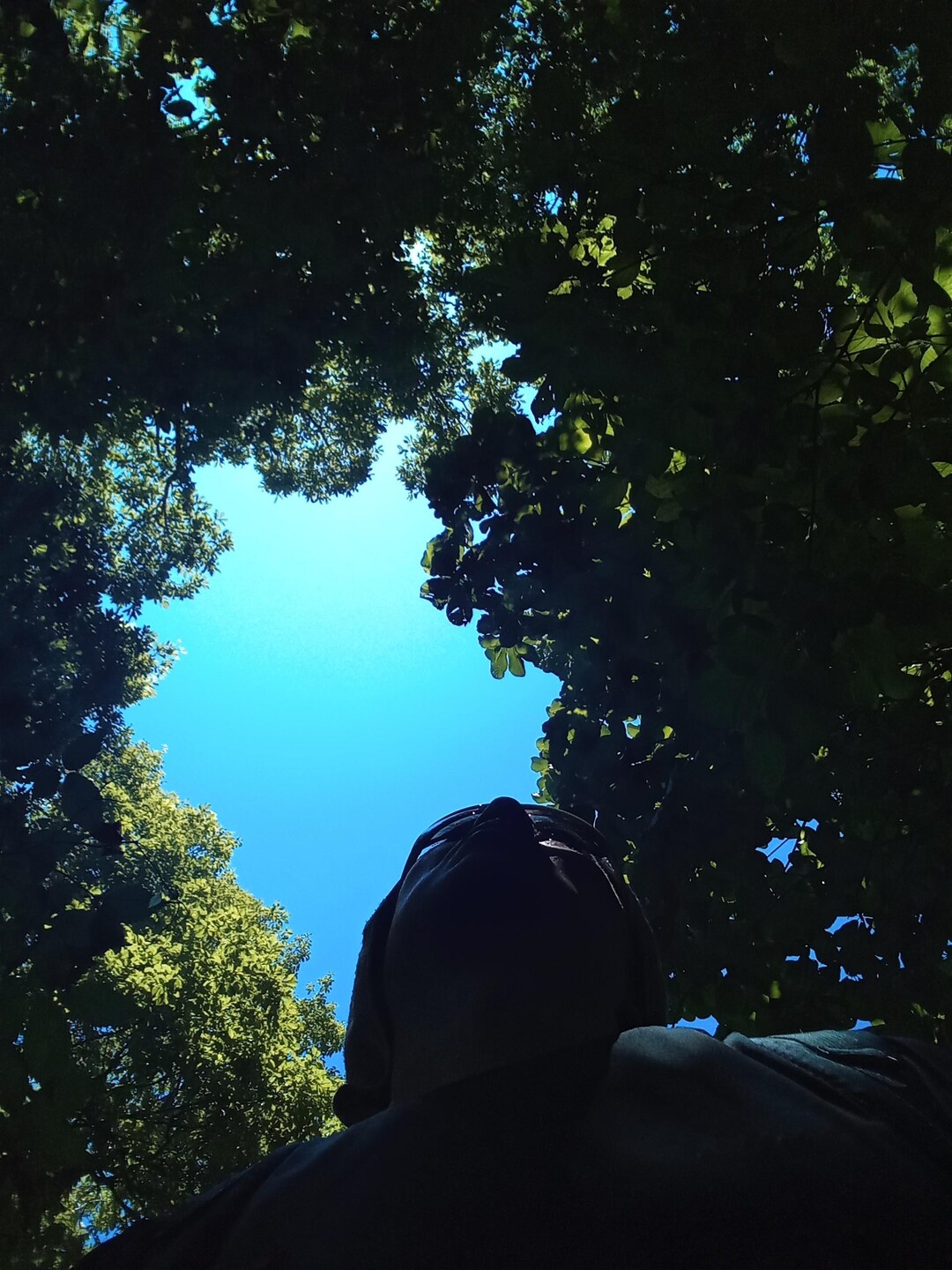 九鬼山🍑👹-2023-07-16 / 岳斗さんの倉岳山・高畑山・九鬼山の活動データ | YAMAP / ヤマップ