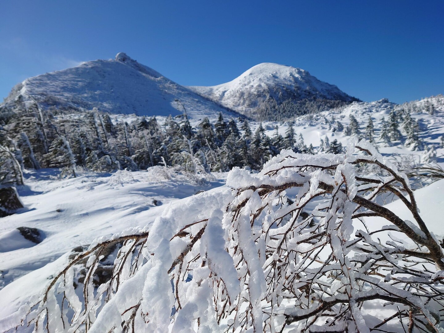 厳冬期 東天狗岳・西天狗岳 / Keiさんの八ヶ岳（赤岳・硫黄岳・天狗岳）の活動日記 | YAMAP / ヤマップ