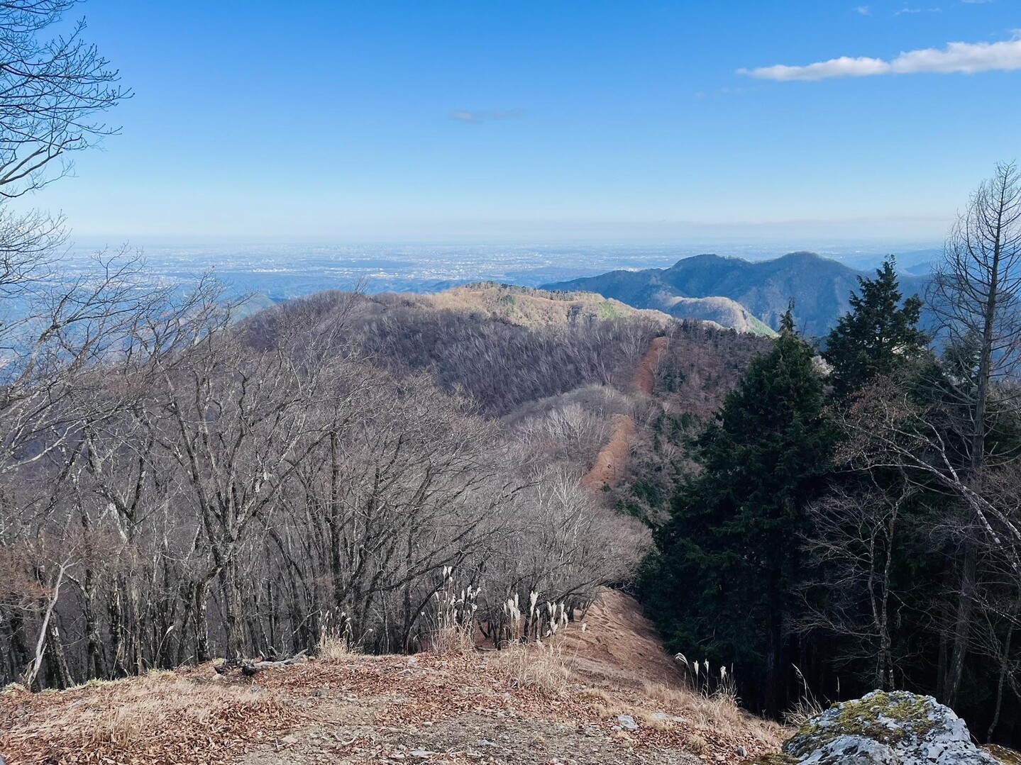 高水山〜棒ノ嶺〜蕎麦粒山 / muramiさんの高水山・岩茸石山・惣岳山の活動データ | YAMAP / ヤマップ