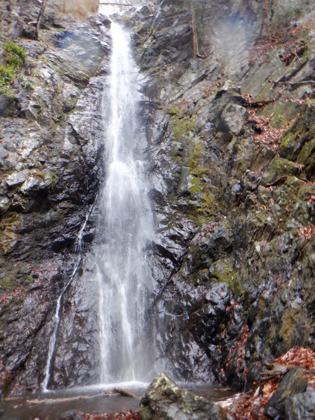 峰谷川雨降川長久保沢 NO1 / omiさんの沢登りの活動データ | YAMAP / ヤマップ