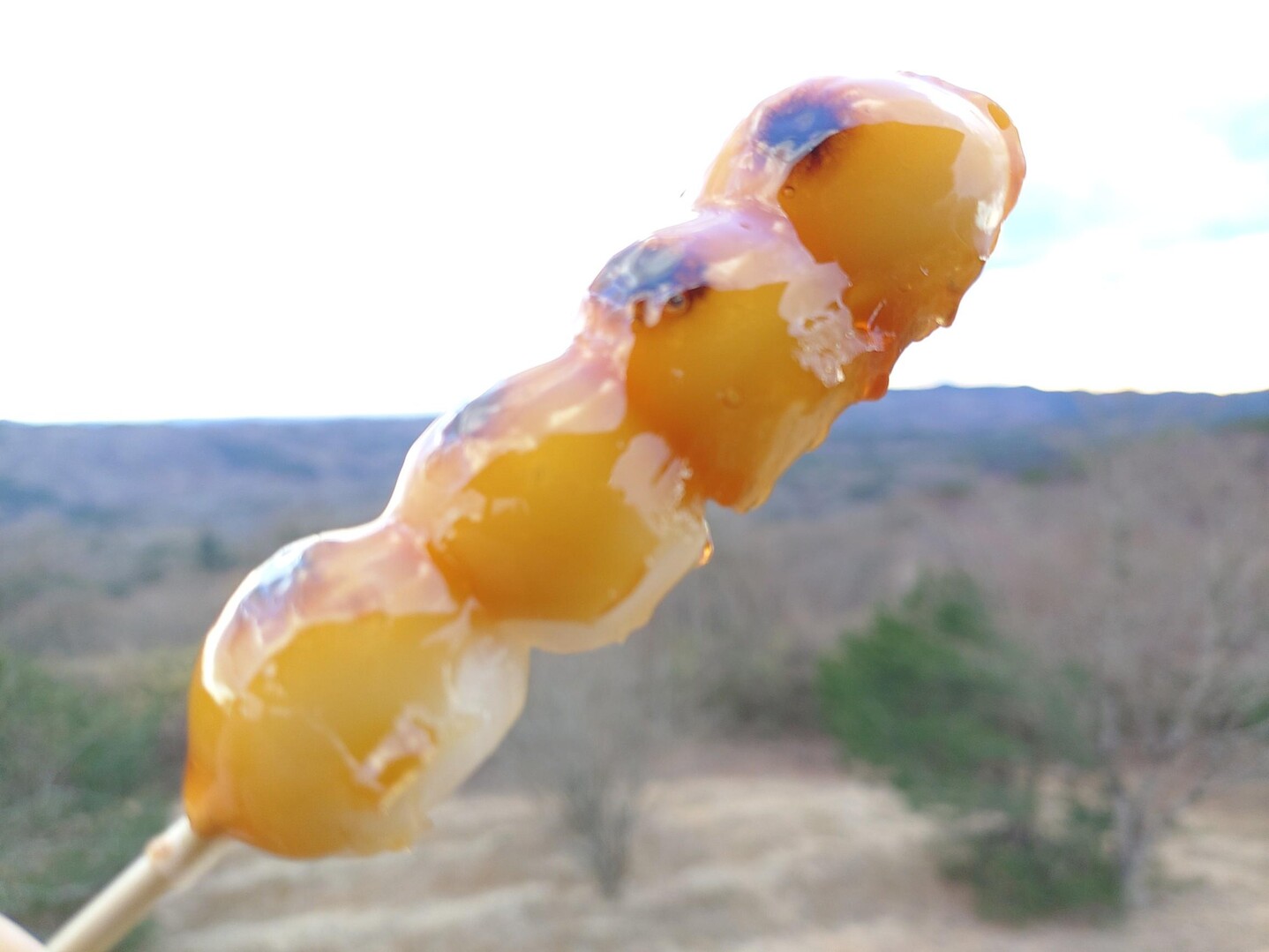 2024ラスト！土岳！ / kohirouさんの土岳・花貫渓谷・竪破山の活動データ | YAMAP / ヤマップ