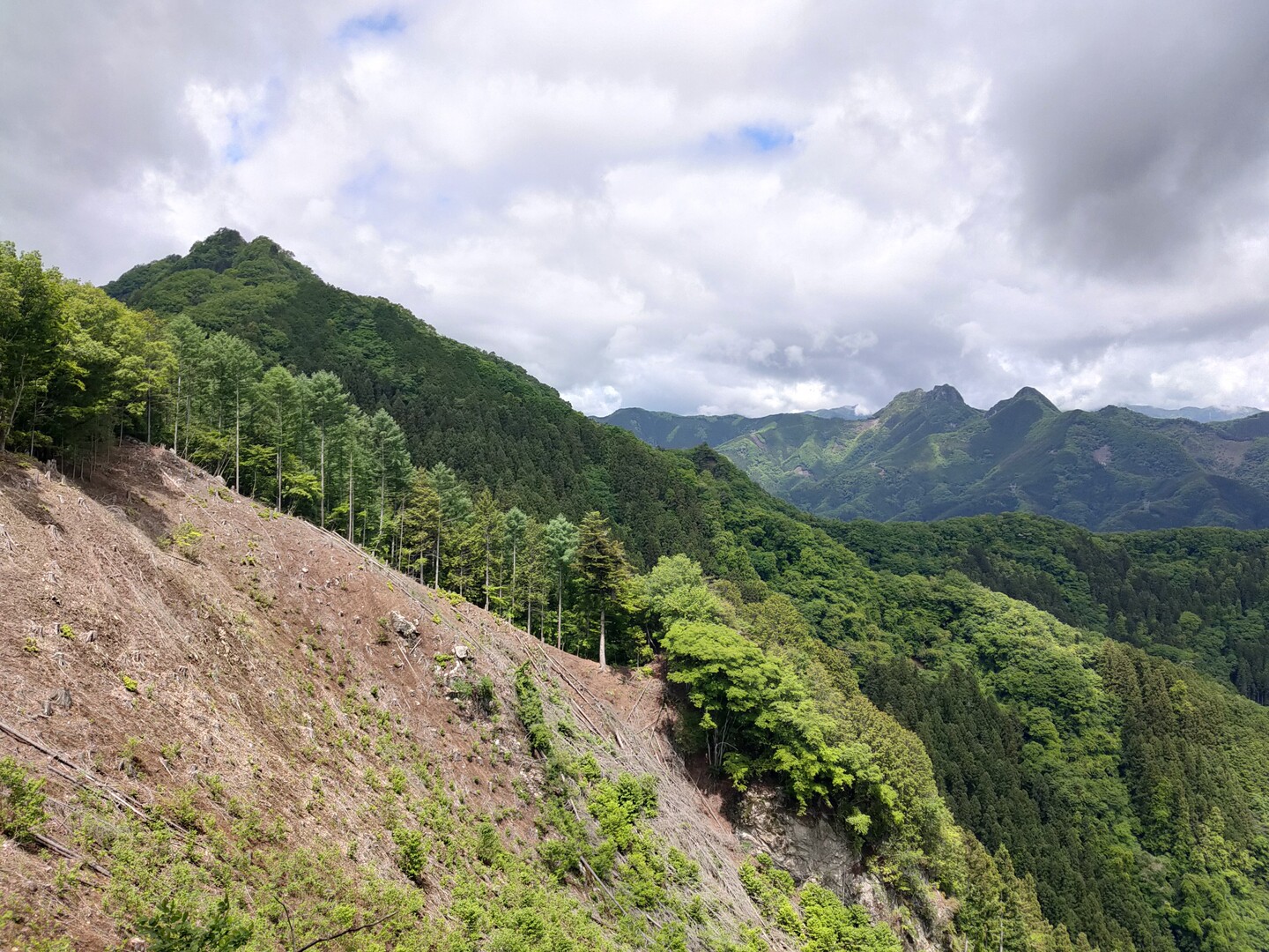 埼玉百山 両詰山-2022-05-22 / kooさんの両神山・諏訪山・二子山の活動データ | YAMAP / ヤマップ
