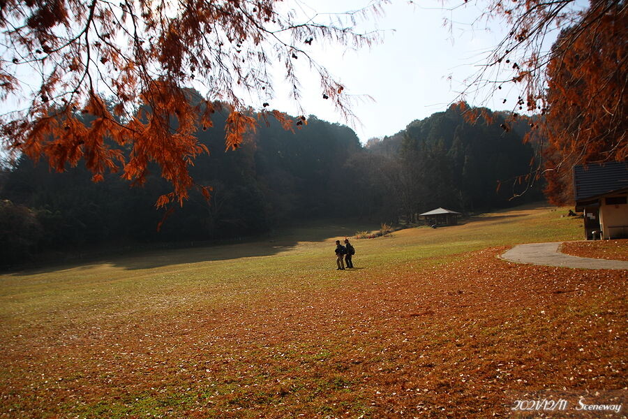 矢田丘陵横断と丘陵散歩 / Scenewayさんの矢田丘陵・法隆寺の活動データ | YAMAP / ヤマップ