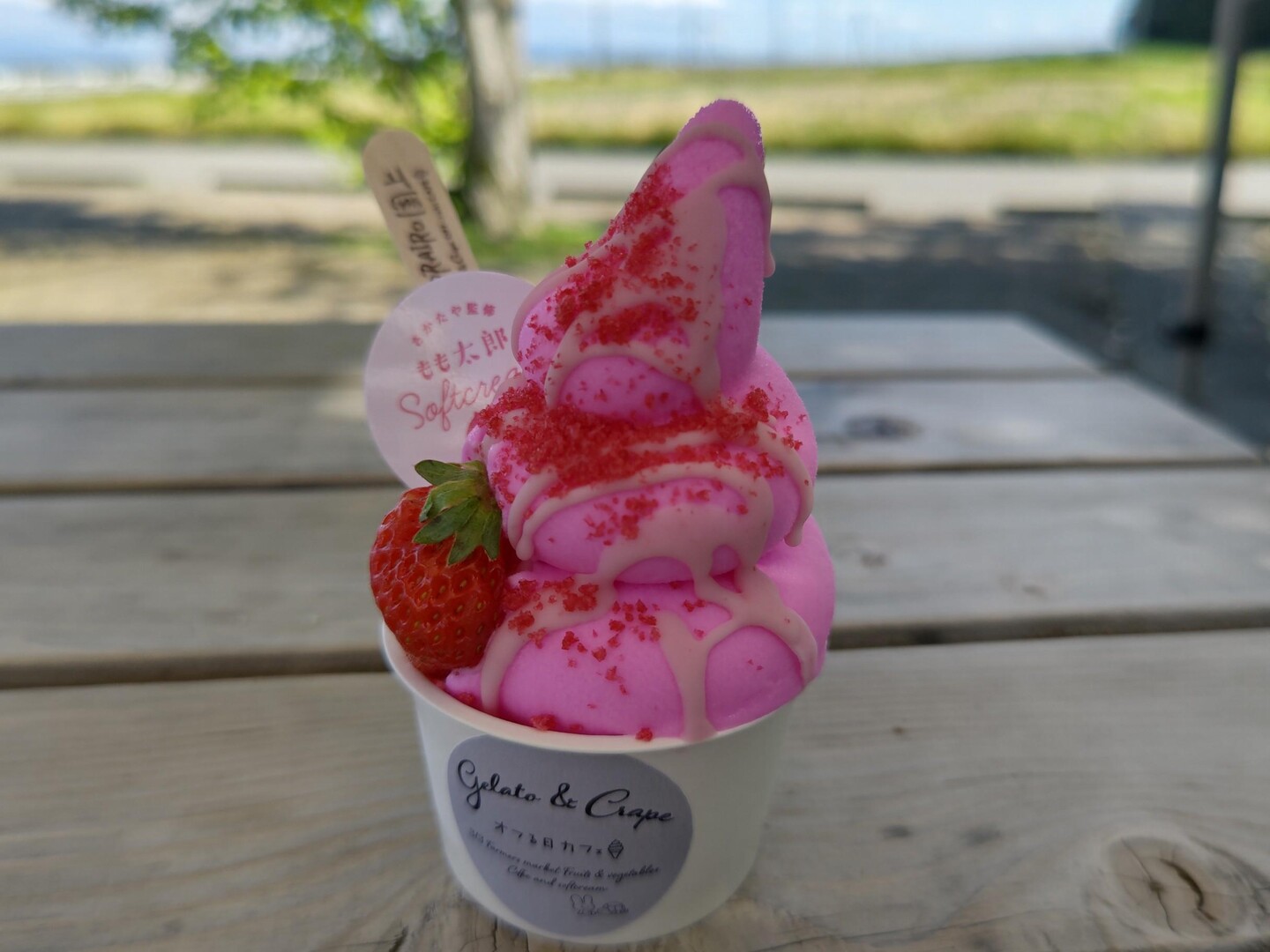 長岡市 東エリア-2024-06-05 / ikkoさんの長岡市 東エリアの活動データ | YAMAP / ヤマップ