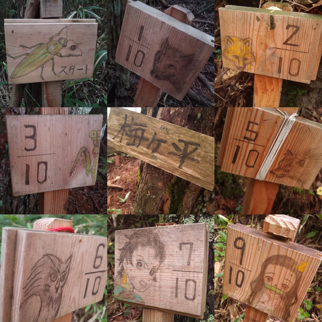 阿智セブンサミット～高鳥屋山 / hachiさんの高鳥屋山・梨子野山・笠松山の活動データ | YAMAP / ヤマップ