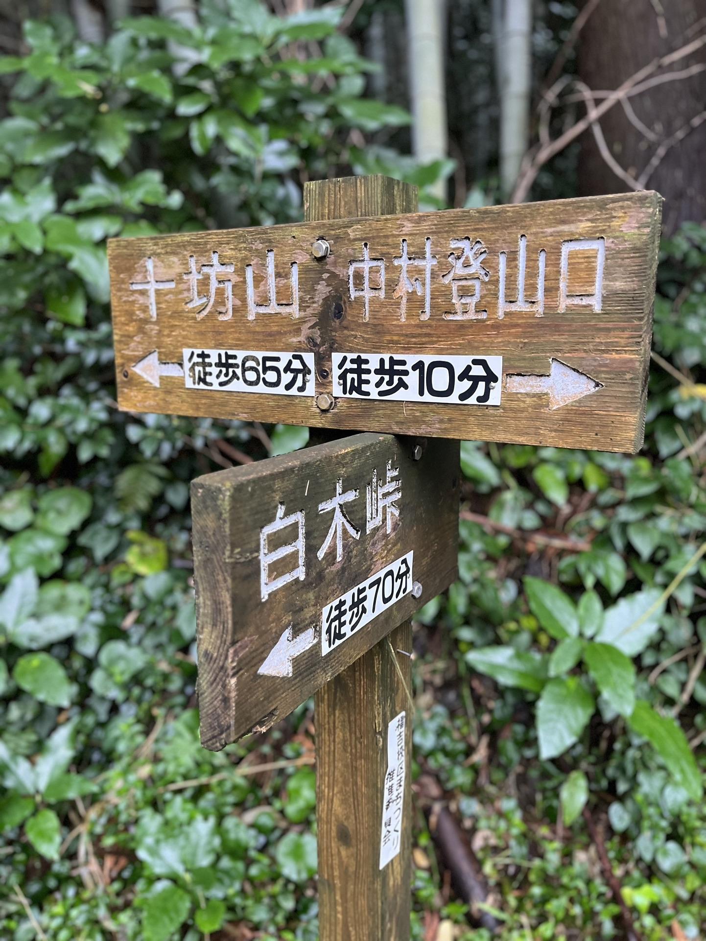 雨のとんぼやま、ずぶ濡れになりました😱... / ma.sa.さんのモーメント | YAMAP / ヤマップ