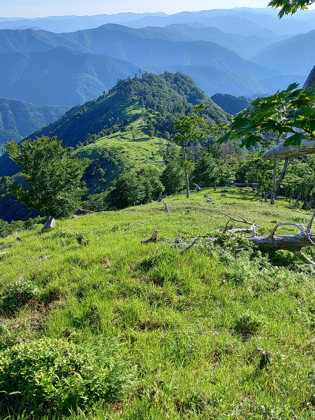 八経ヶ岳 / R.hondaさんの八経ヶ岳の活動日記 | YAMAP / ヤマップ