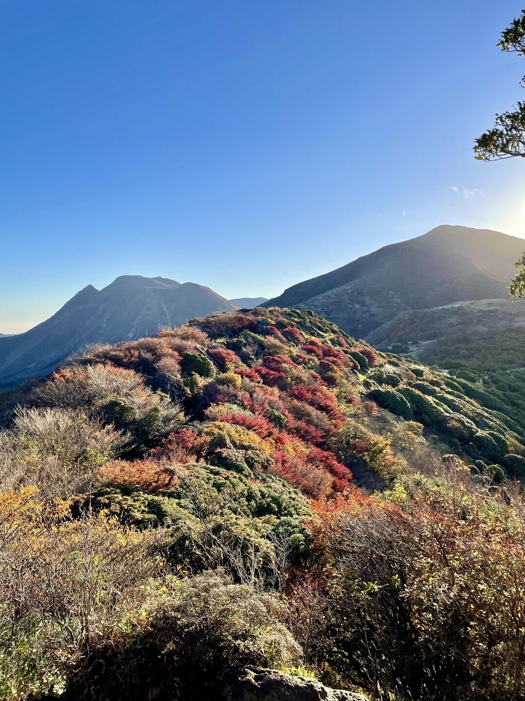 沓掛山・天狗ヶ城・中岳・久住山 / やまのミユ〜さんの九重山（久住山）・大船山・星生山の活動データ | YAMAP / ヤマップ