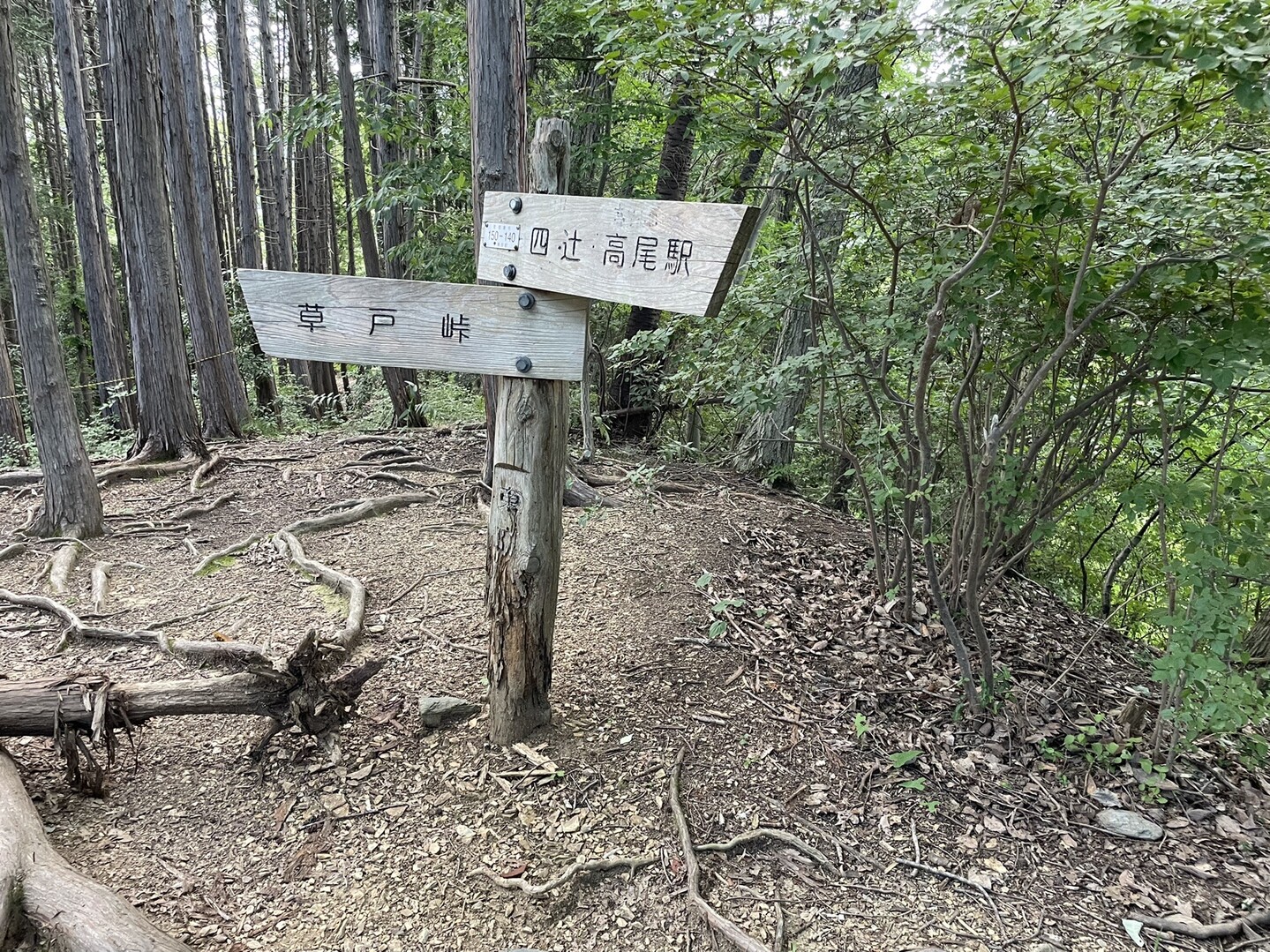 tsk-chaponさんの投稿したフィールドメモ | YAMAP / ヤマップ