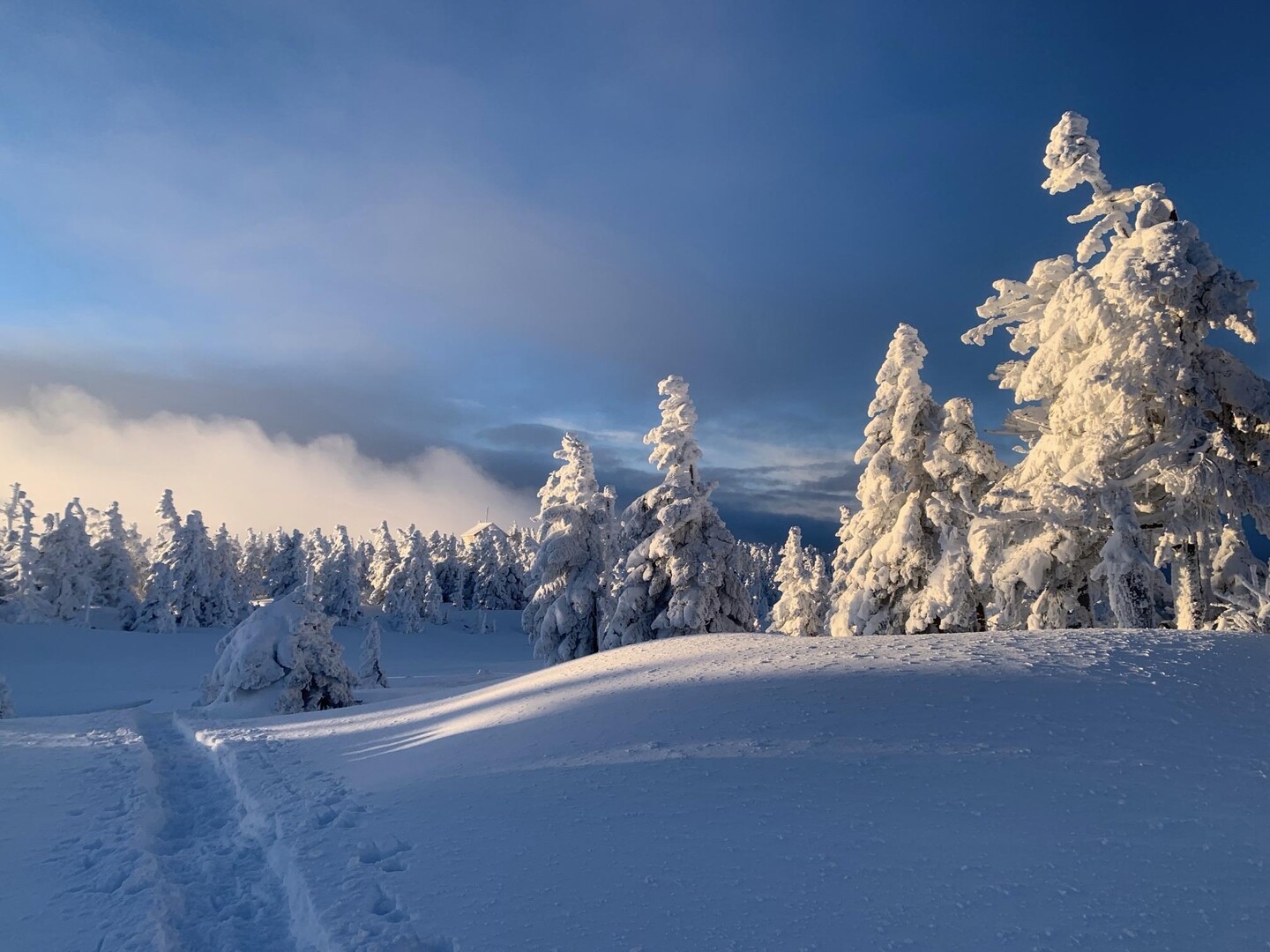硫黄岳BC、仙人岱ヒュッテ泊🛖 / ZAKUさんの八甲田山・高田大岳・雛岳の活動データ | YAMAP / ヤマップ