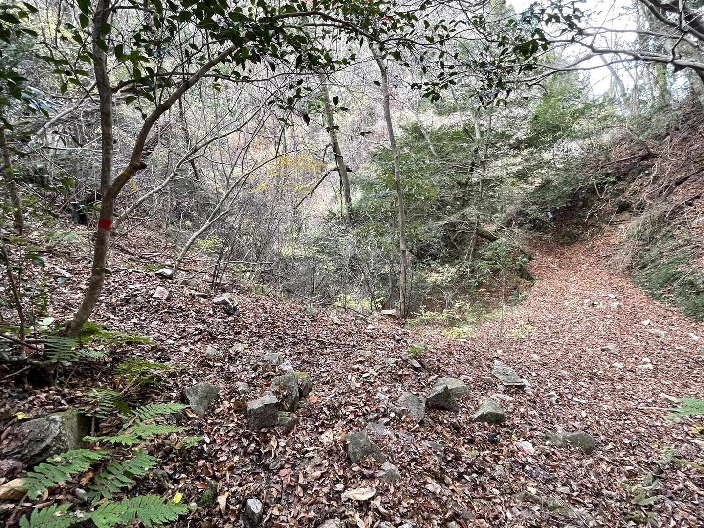 y.kさんの投稿したフィールドメモ | YAMAP / ヤマップ