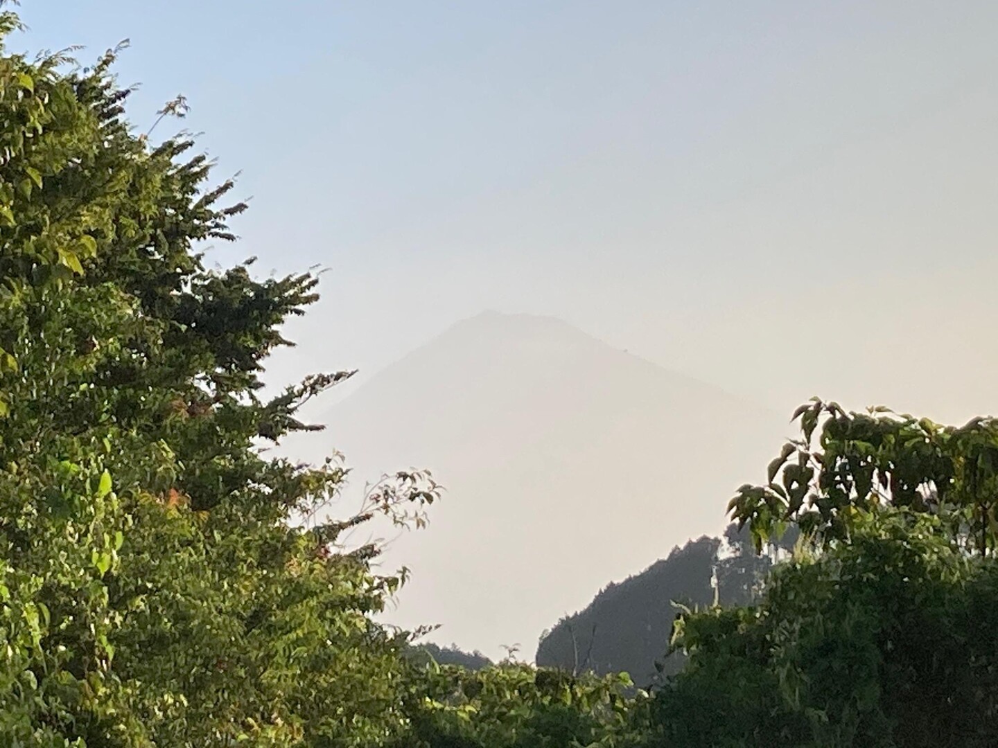 大丸山-2023-08-06 / kankanさんの金丸山・大丸山・雨乞山の活動データ | YAMAP / ヤマップ