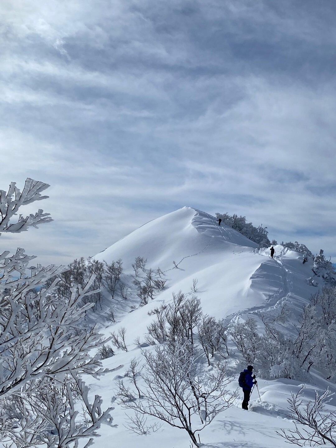 雪山堪能 五頭山 / mtakoさんの五頭山・菱ヶ岳・宝珠山の活動データ | YAMAP / ヤマップ