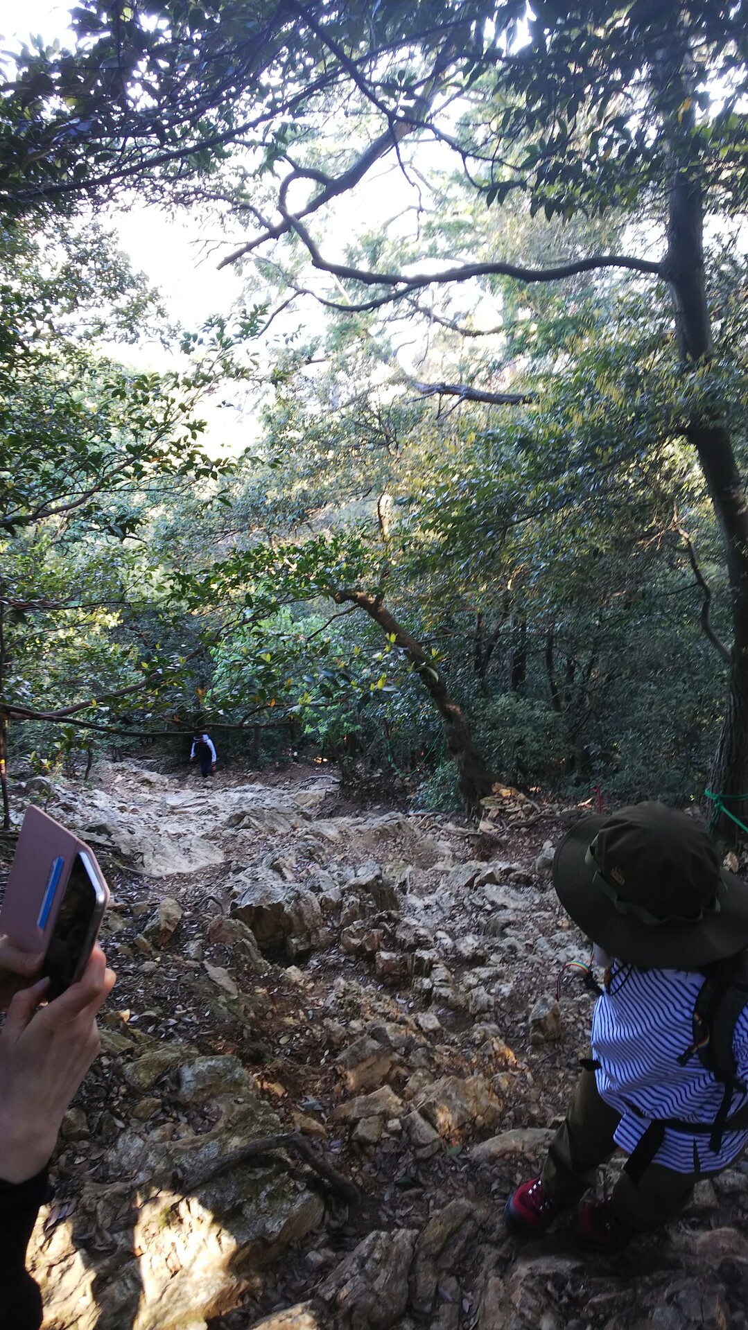 2021.05.03(月) 01:56 / やまりえっちさんのモーメント | YAMAP / ヤマップ