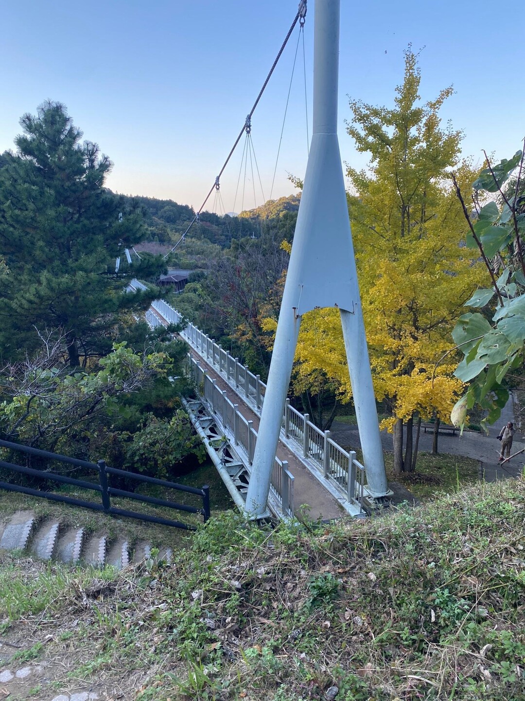 十坊山・浮嶽・女岳・二丈岳・福寿台 / tonyさんの二丈岳・十坊山の活動データ | YAMAP / ヤマップ