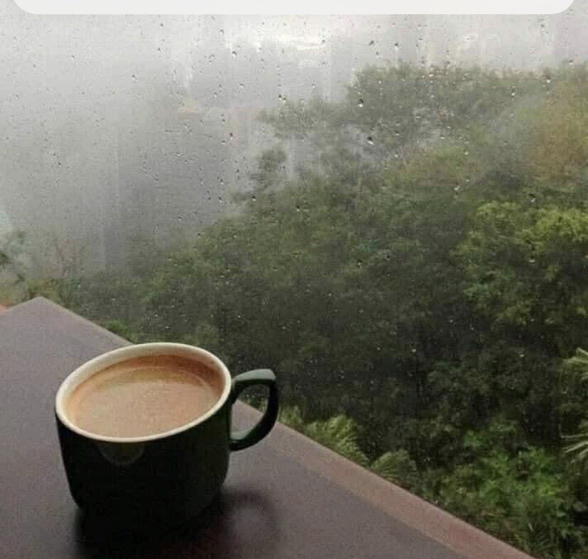 ハイキング行くのは一番楽しい！😚😚 ... / Corneさんのモーメント | YAMAP / ヤマップ