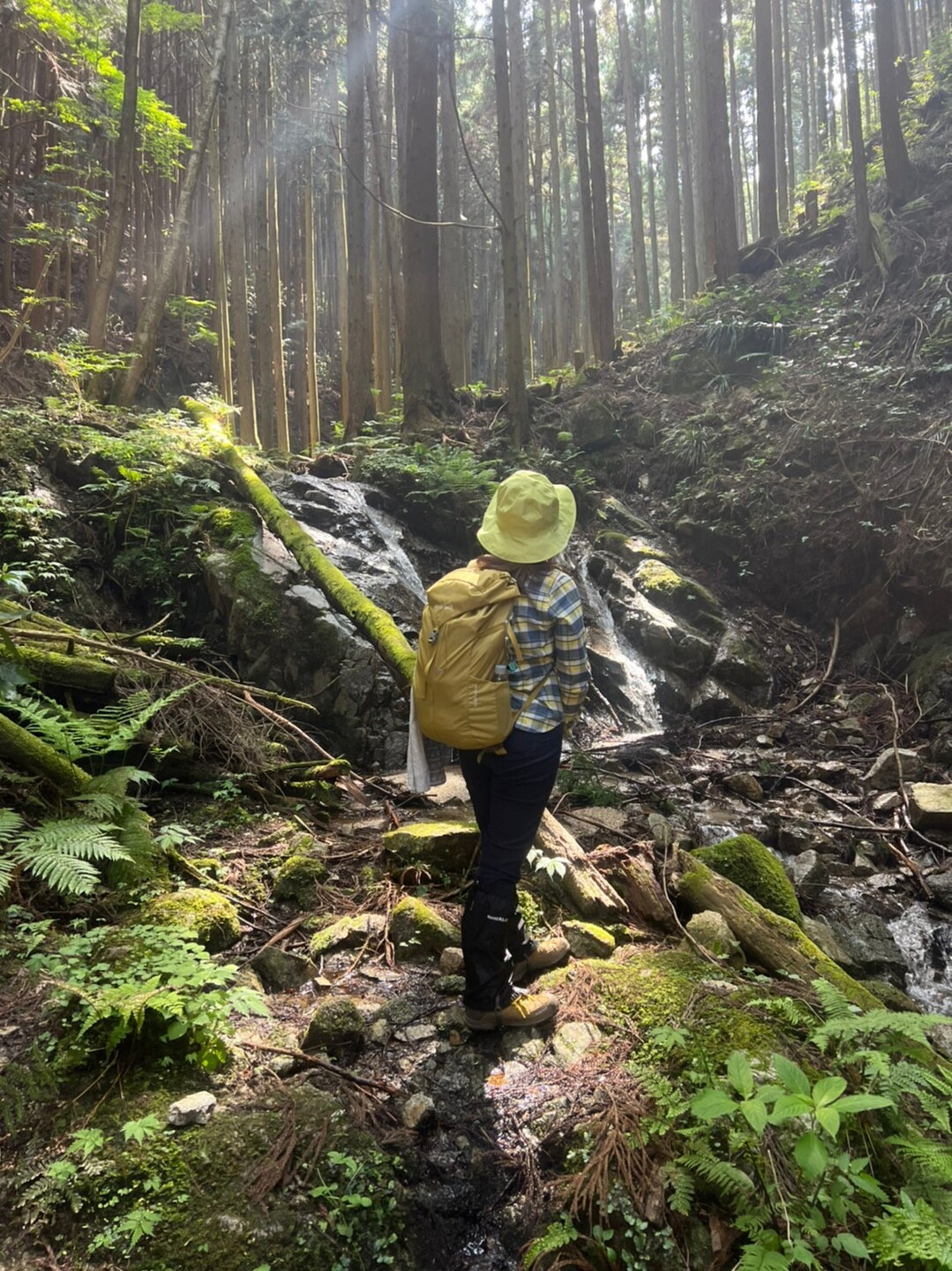 kokeのページ | YAMAP / ヤマップ