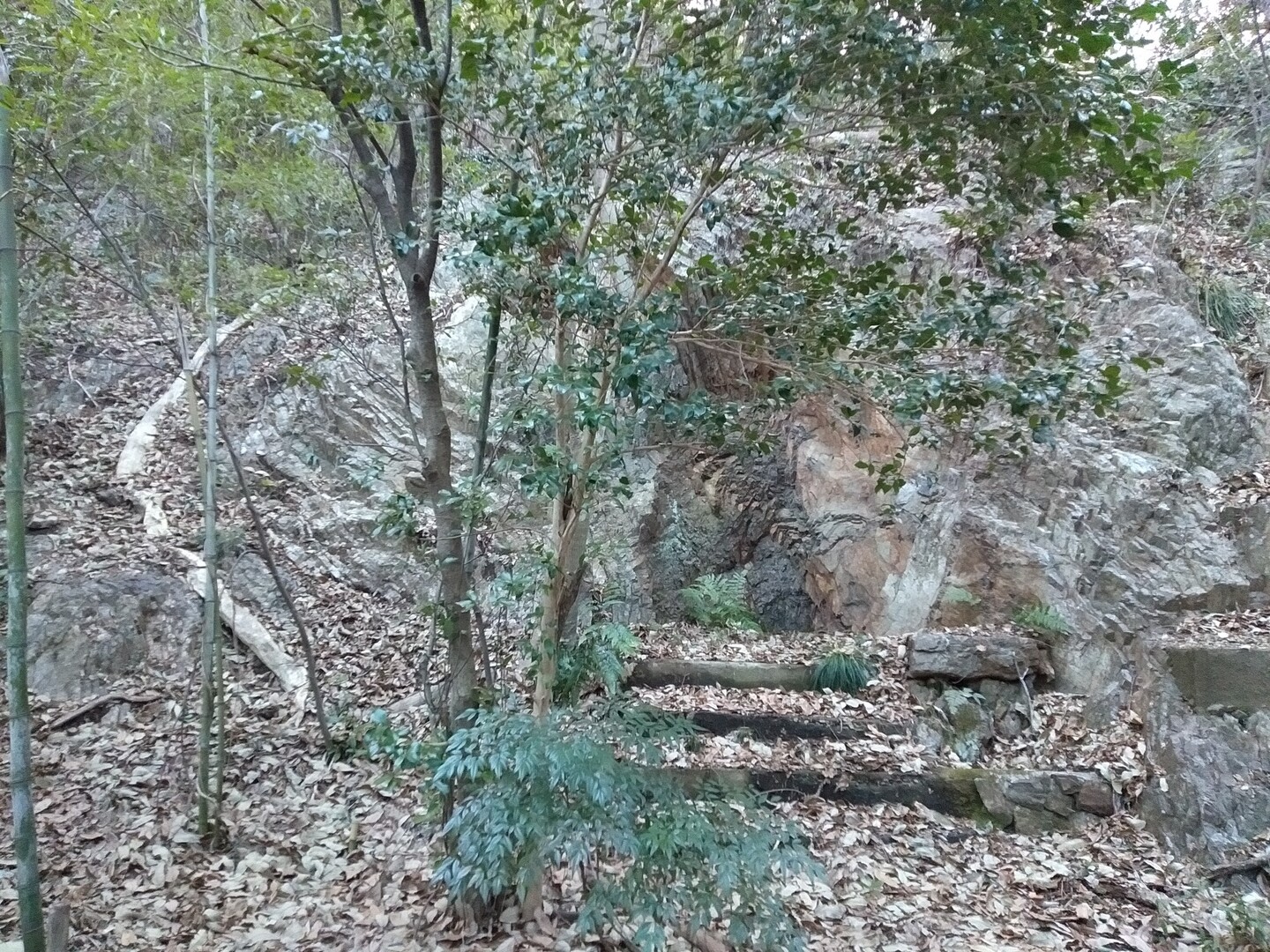 takurockさんの投稿したフィールドメモ | YAMAP / ヤマップ