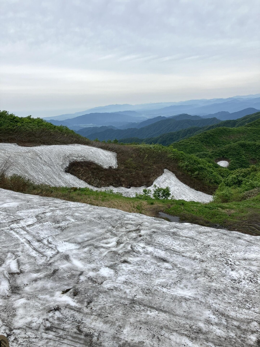 二王子岳 整備最高 感謝2024-06-18 / ERさんのウォーキングの活動データ | YAMAP / ヤマップ