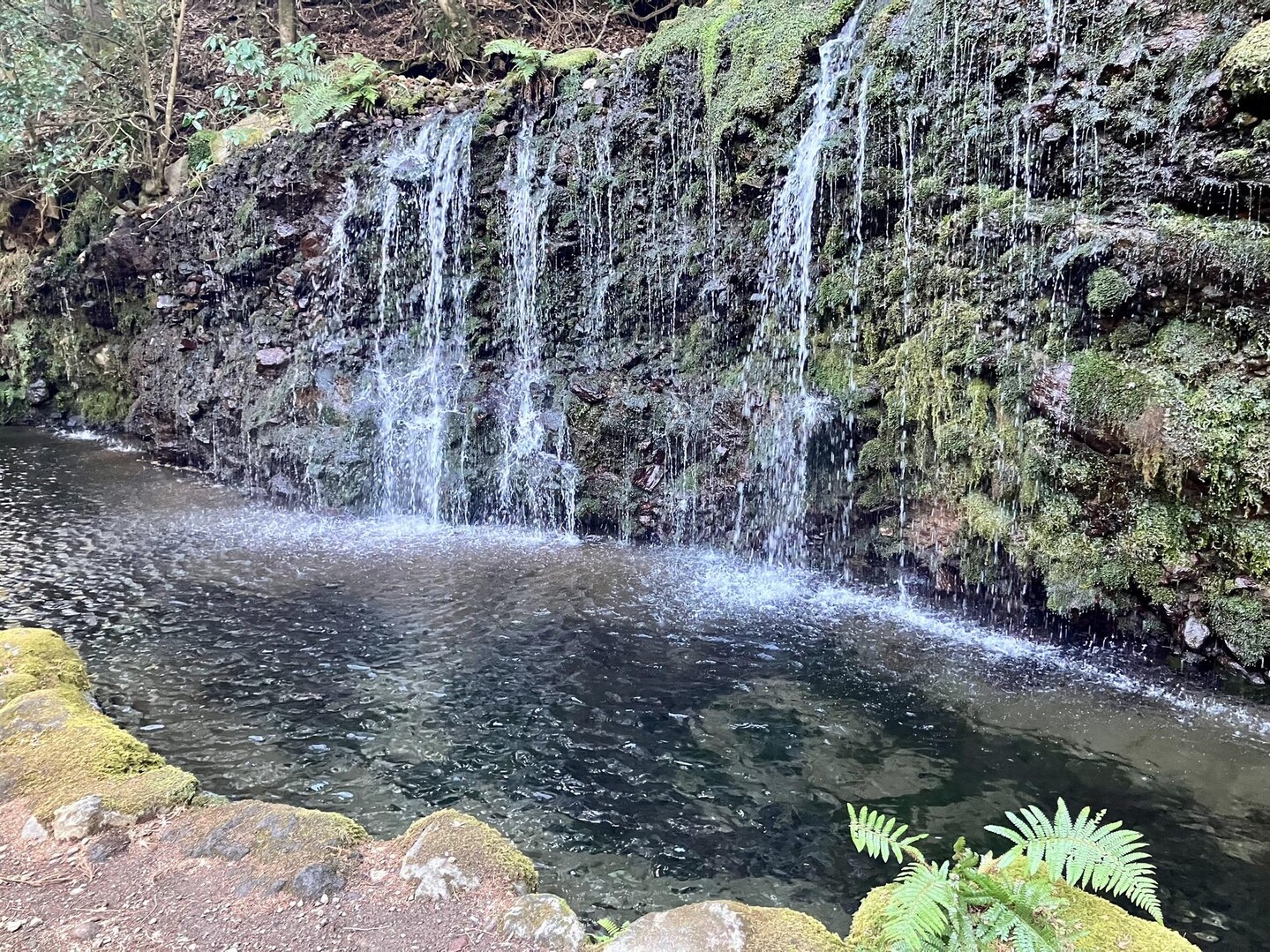 箱根浅間山ハイキングコース / Tetsuyaさんの箱根山・神山の活動データ | YAMAP / ヤマップ