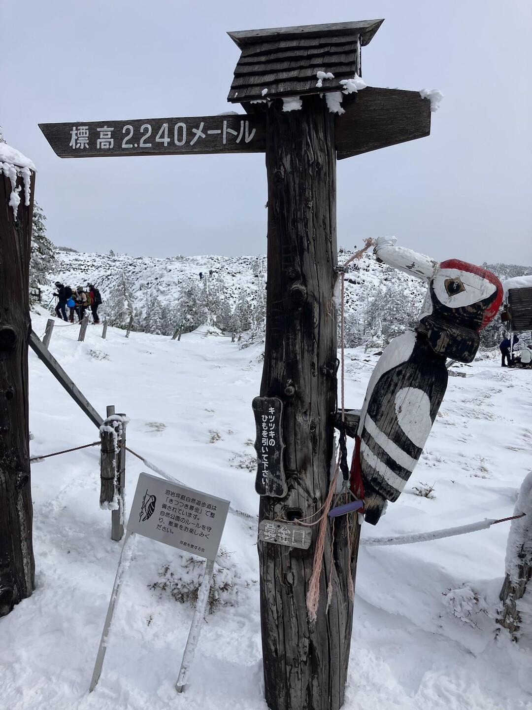 北横岳 / J. Yabeさんの蓼科山・横岳・縞枯山の活動データ | YAMAP / ヤマップ